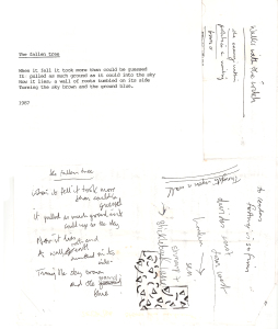 A 12 line poem….The Fallen Tree 1987 – SHAUN BELCHER WRITES